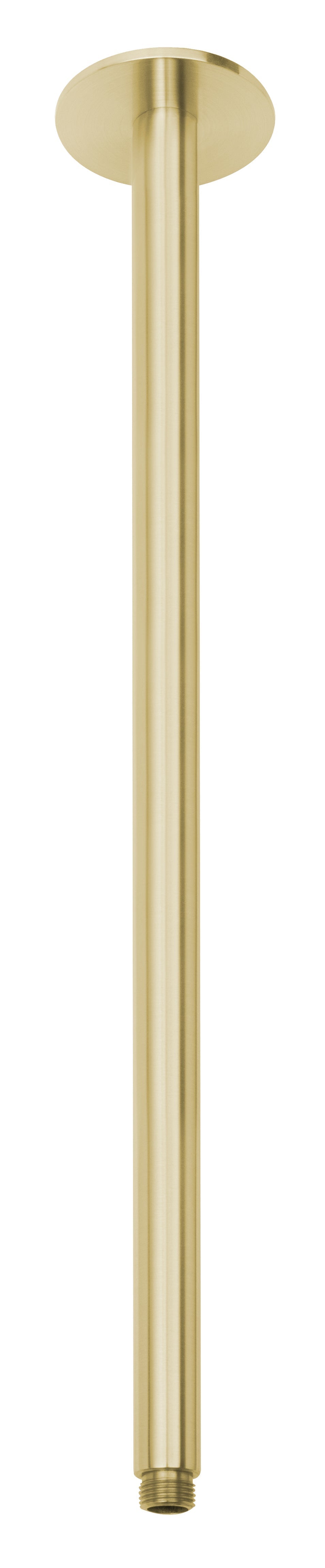 Vivid Ceiling Arm Only 450mm (Brushed Gold) – Online Bathroomware